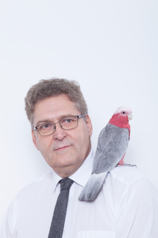 Anne Claire de Breij